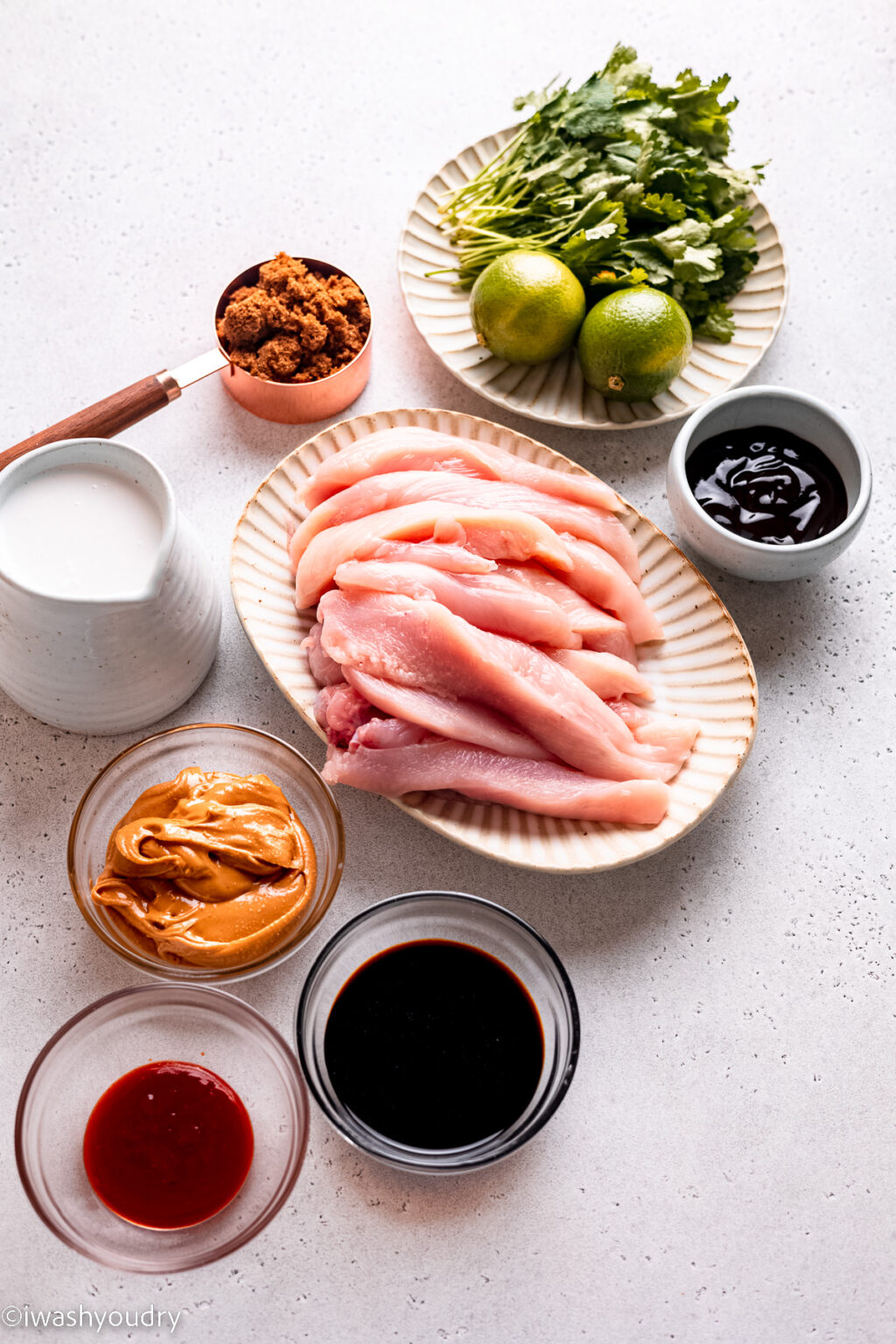 Thai Chicken Satay - I Wash You Dry