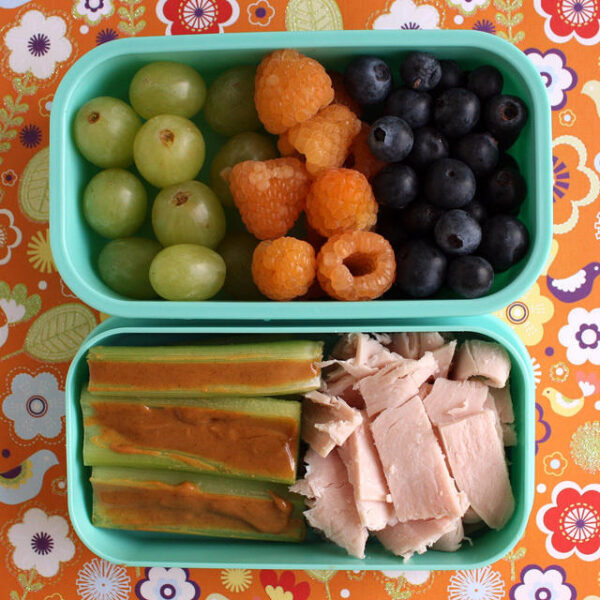 Saturday Morning Roundup - Bento Lunch Ideas - I Wash You Dry
