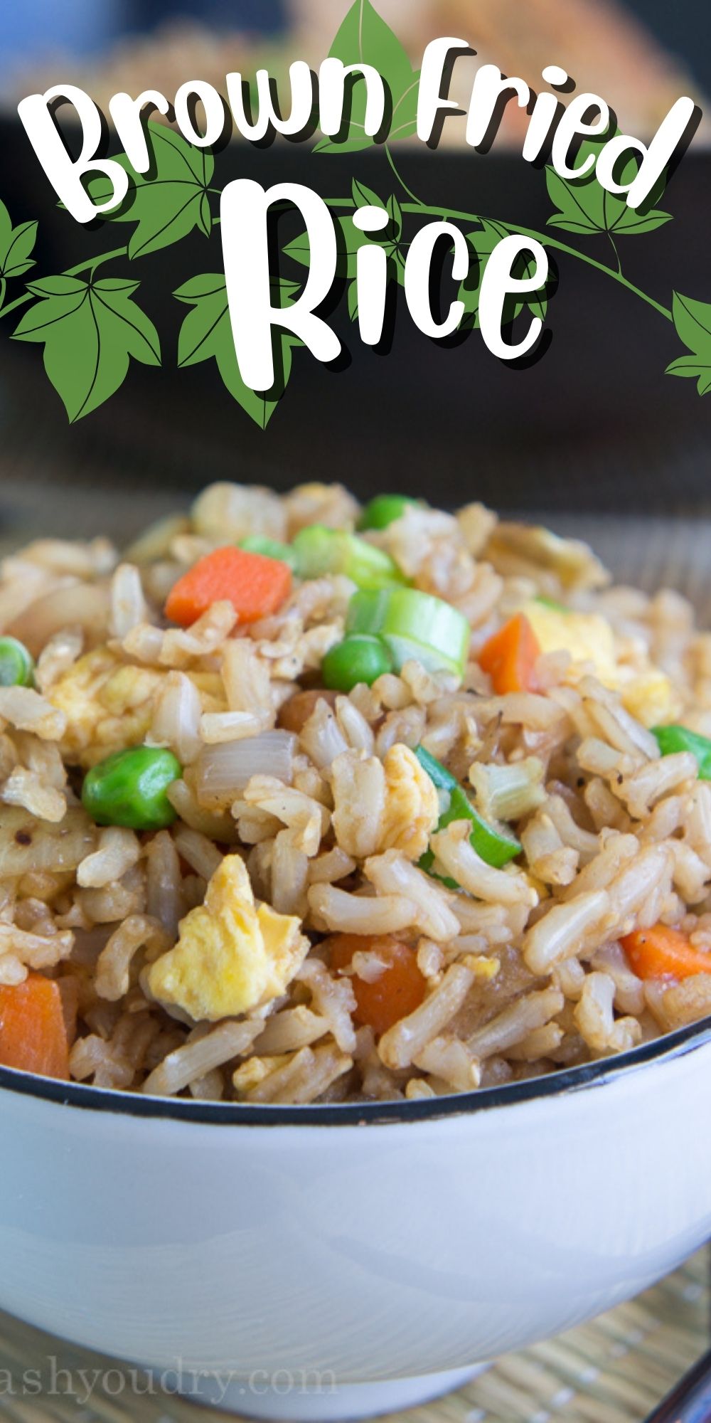 Quick and Easy Brown Fried Rice - I Wash You Dry