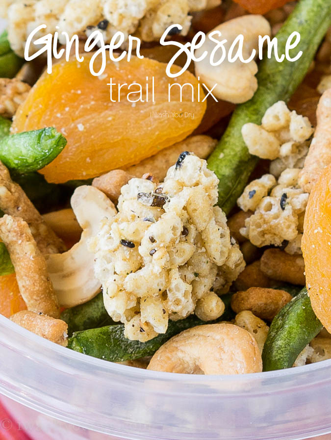 Ginger Sesame Trail Mix - I Wash You Dry