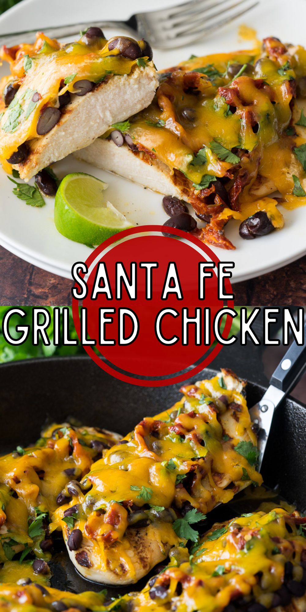 Zesty Grilled Santa Fe Chicken - I Wash You Dry