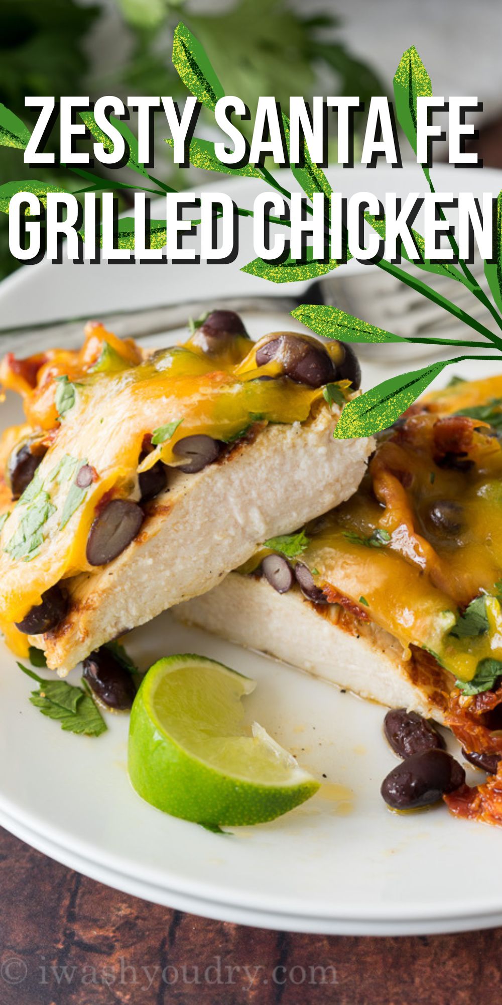 Zesty Grilled Santa Fe Chicken - I Wash You Dry