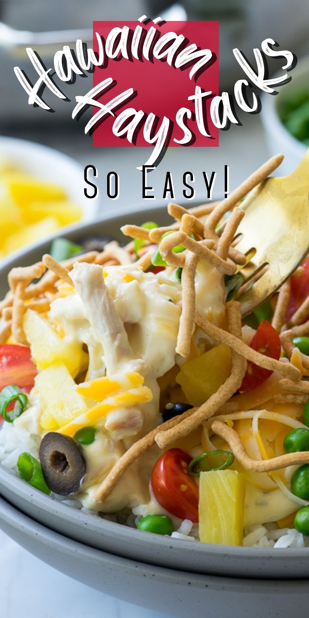 Quick Easy Hawaiian Haystacks - I Wash You Dry