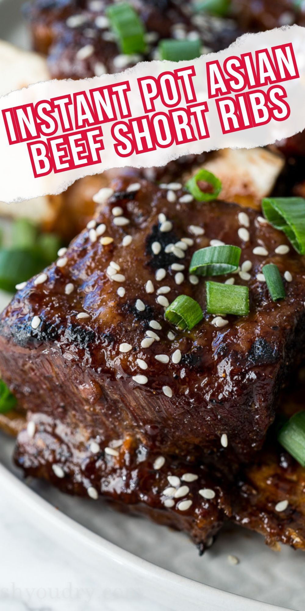 Instant Pot Asian Beef Short Ribs - I Wash You Dry