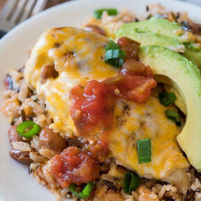 Salsa Chicken Rice Skillet - I Wash You Dry