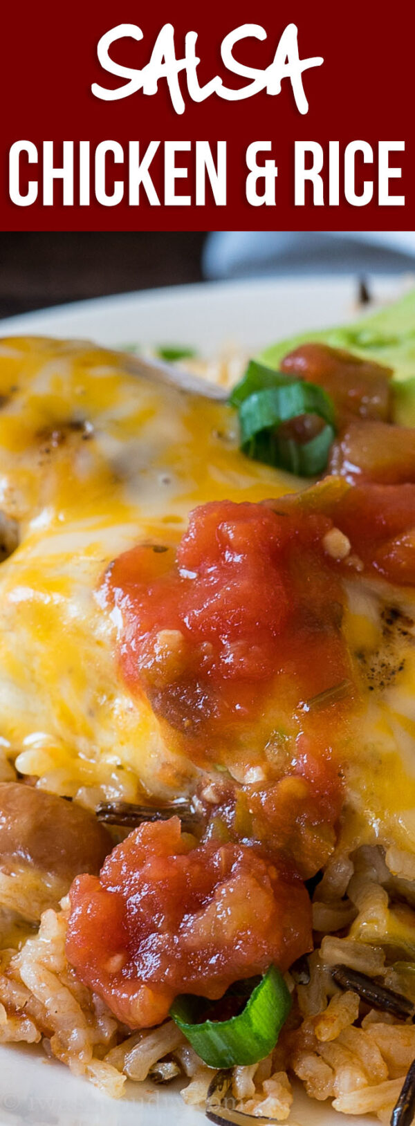 Salsa Chicken Rice Skillet - I Wash You Dry