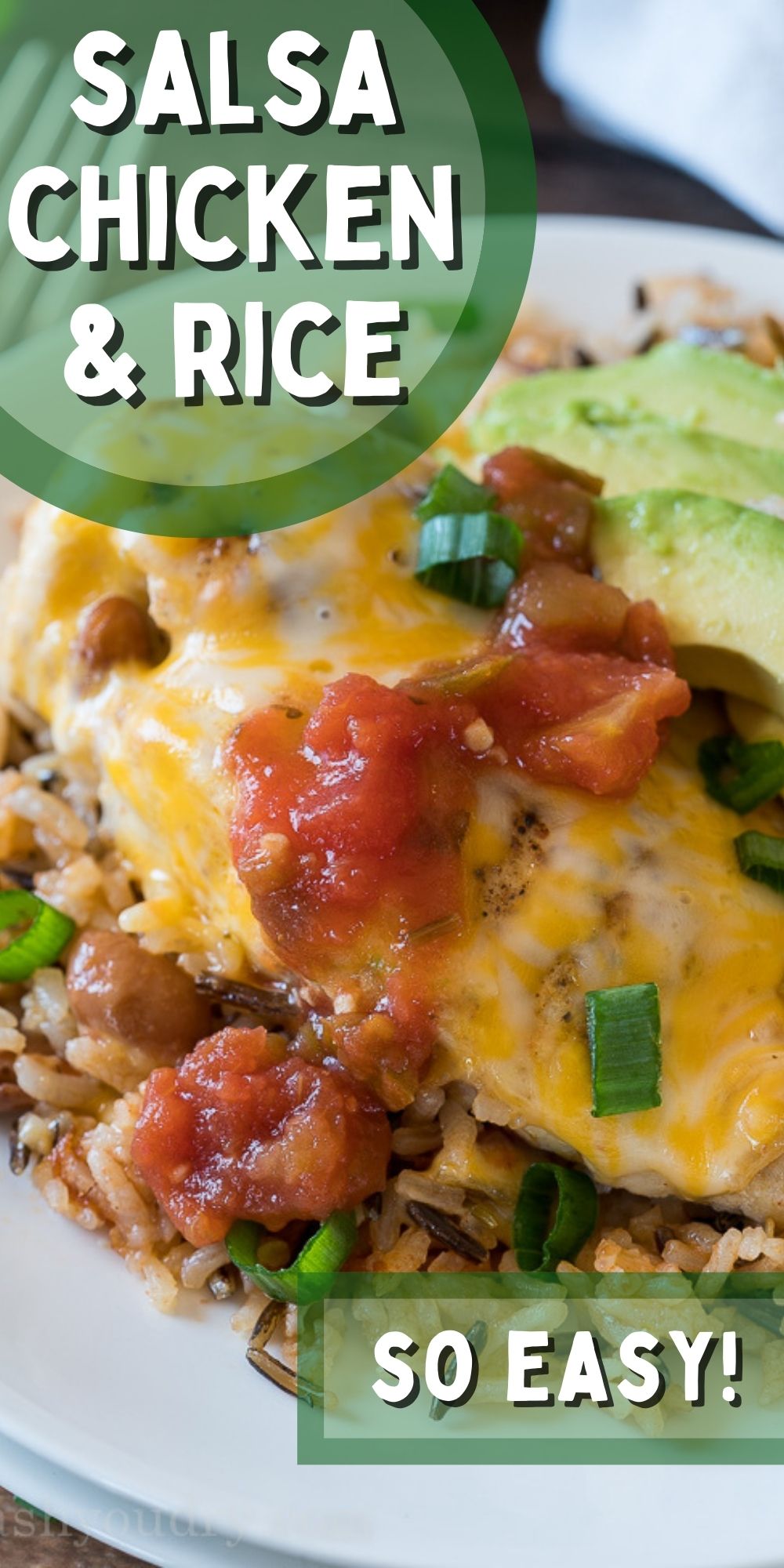 Salsa Chicken Rice Skillet - I Wash You Dry