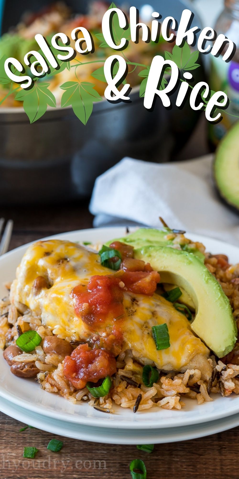 Salsa Chicken Rice Skillet - I Wash You Dry