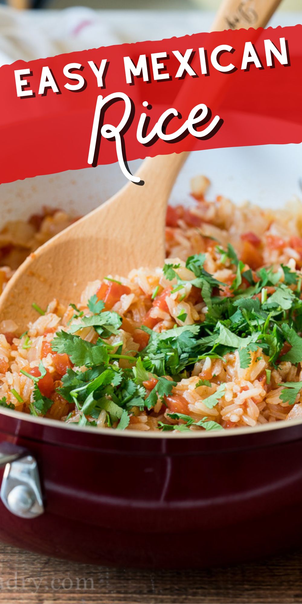Easy Mexican Rice - I Wash You Dry