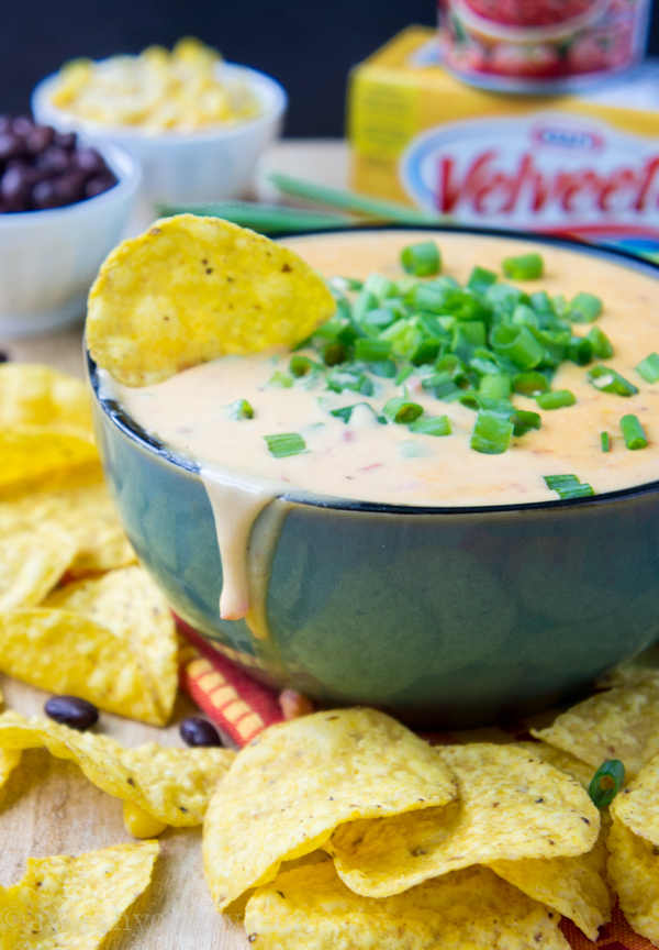 Spicy Southwest Queso Dip - I Wash You Dry