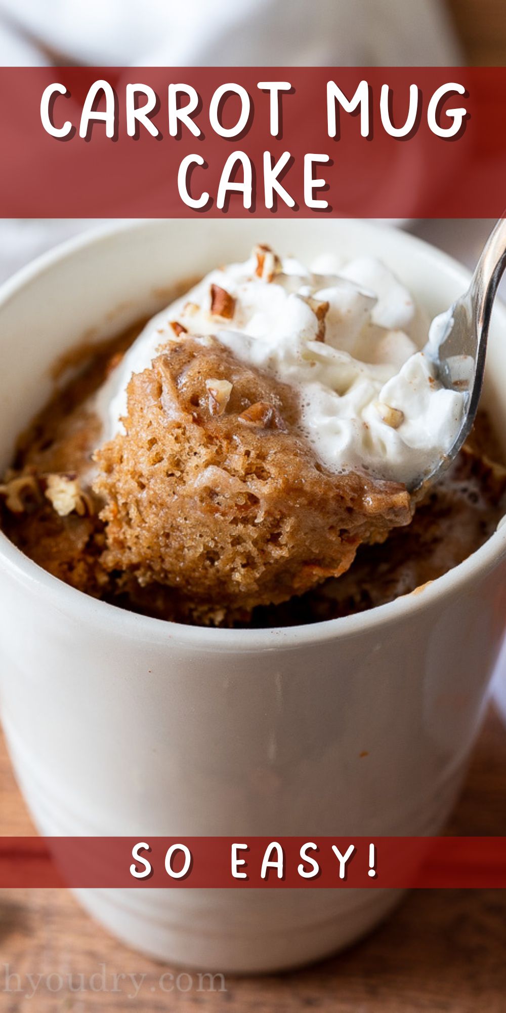 Easy Carrot Cake Mug Cake Recipe - I Wash You Dry