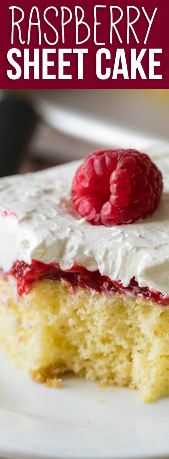 Vanilla Raspberry Sheet Cake Recipe - I Wash You Dry