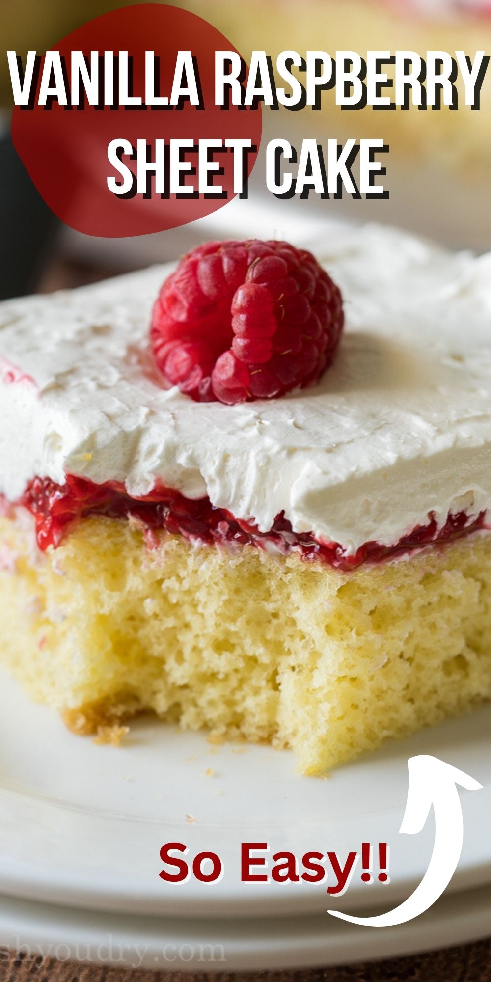 Vanilla Raspberry Sheet Cake Recipe - I Wash You Dry