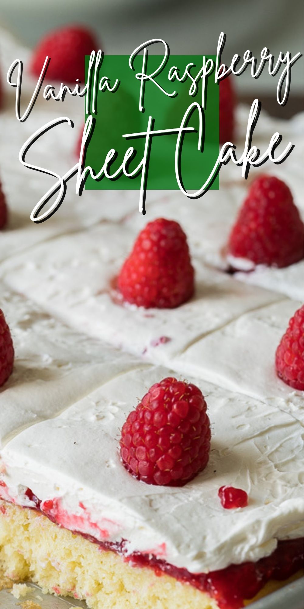 Vanilla Raspberry Sheet Cake Recipe - I Wash You Dry
