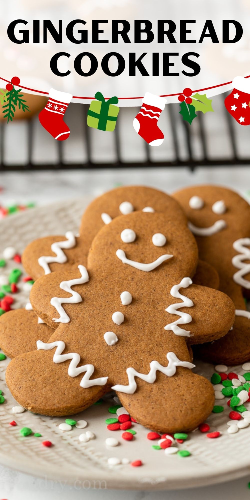 Perfect Gingerbread Cookie Recipe - I Wash You Dry