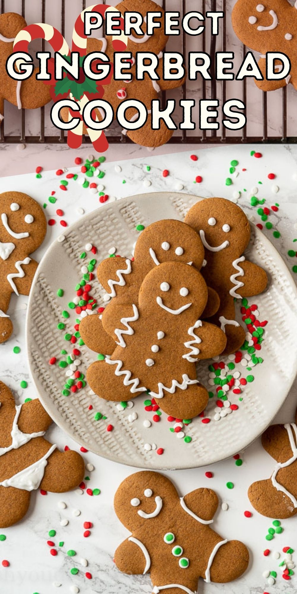 Perfect Gingerbread Cookie Recipe - I Wash You Dry
