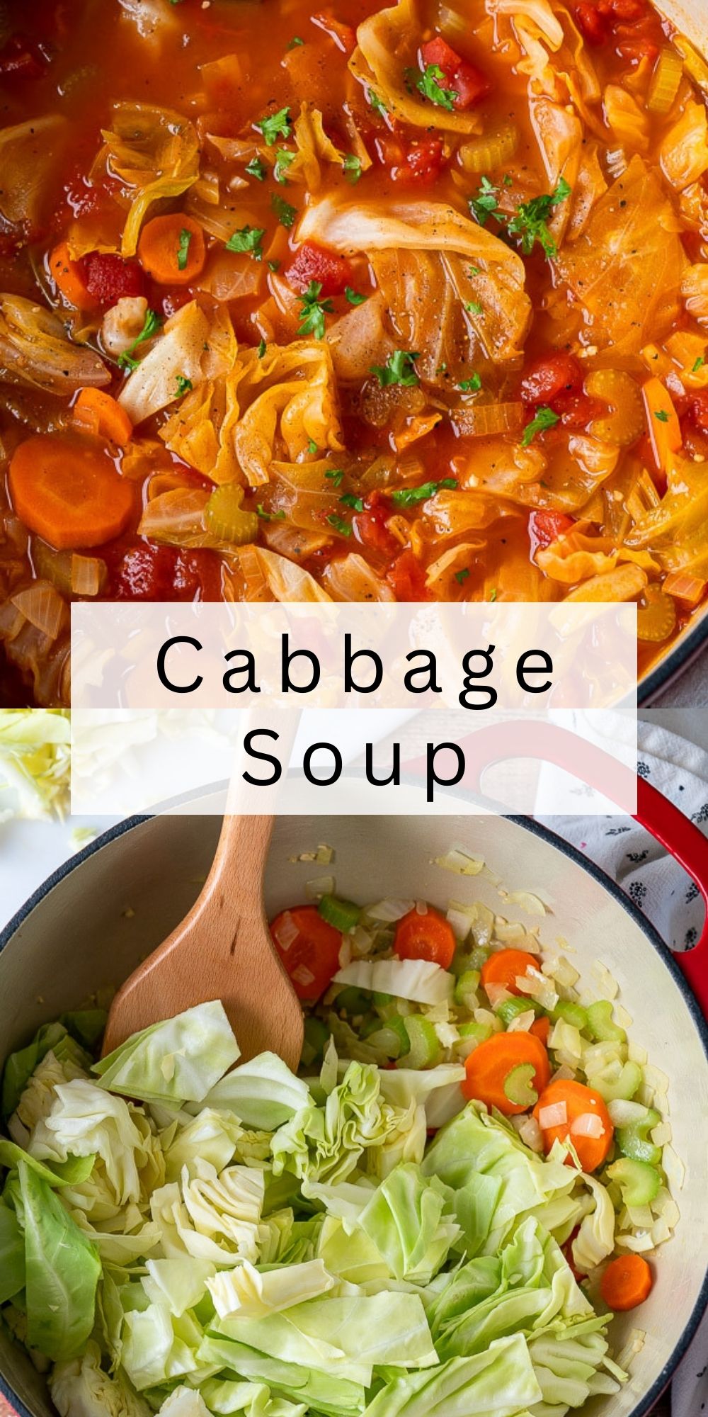 Cabbage Soup Recipe - I Wash You Dry