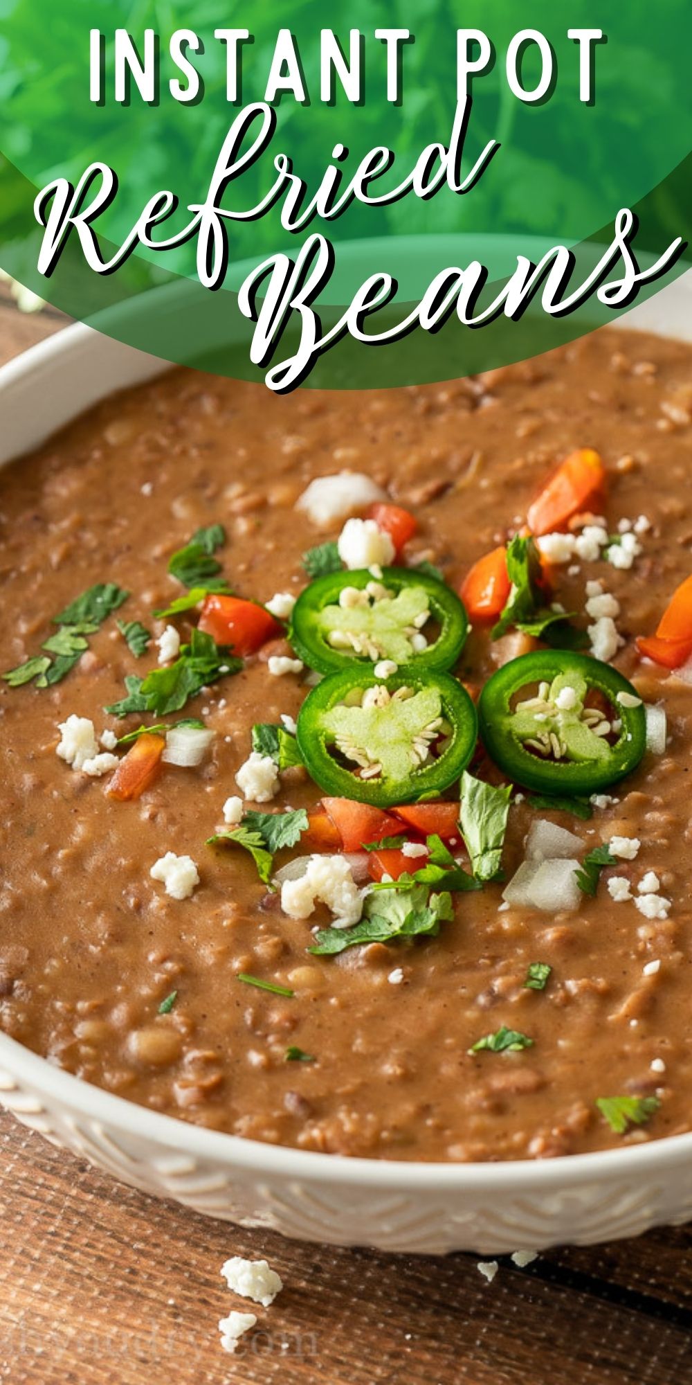Instant Pot Refried Beans Recipe - I Wash You Dry