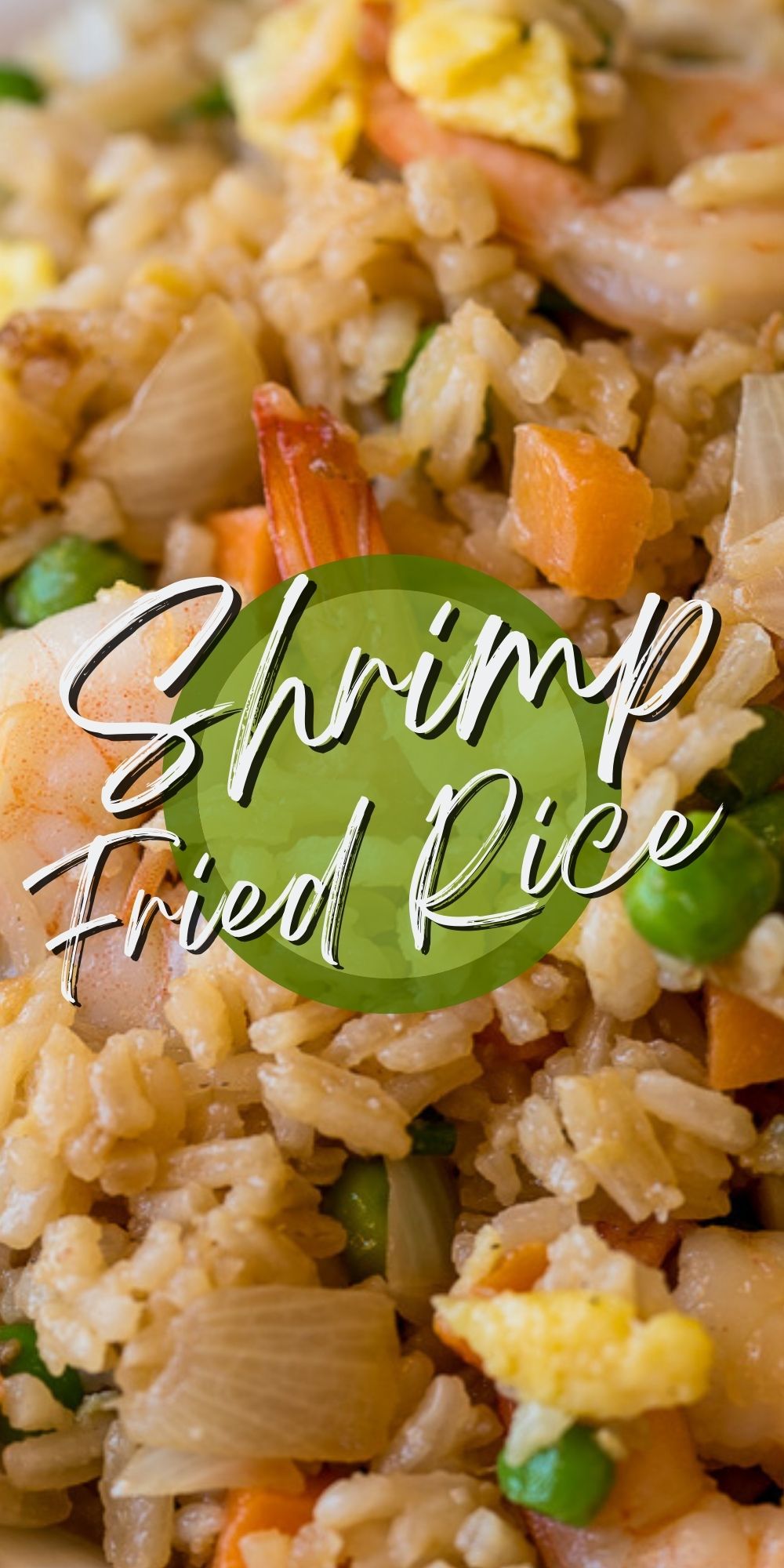 Easy Shrimp Fried Rice - I Wash You Dry
