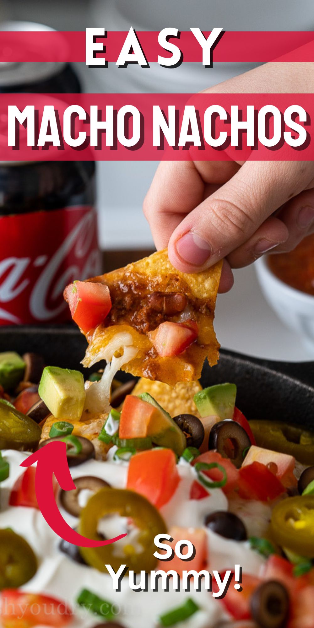 Ultimate Macho Nachos Recipe - I Wash You Dry