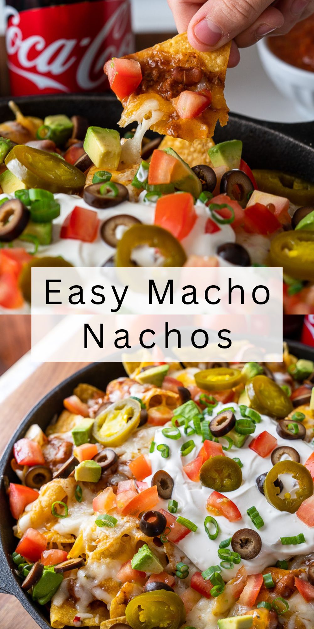 Ultimate Macho Nachos Recipe - I Wash You Dry