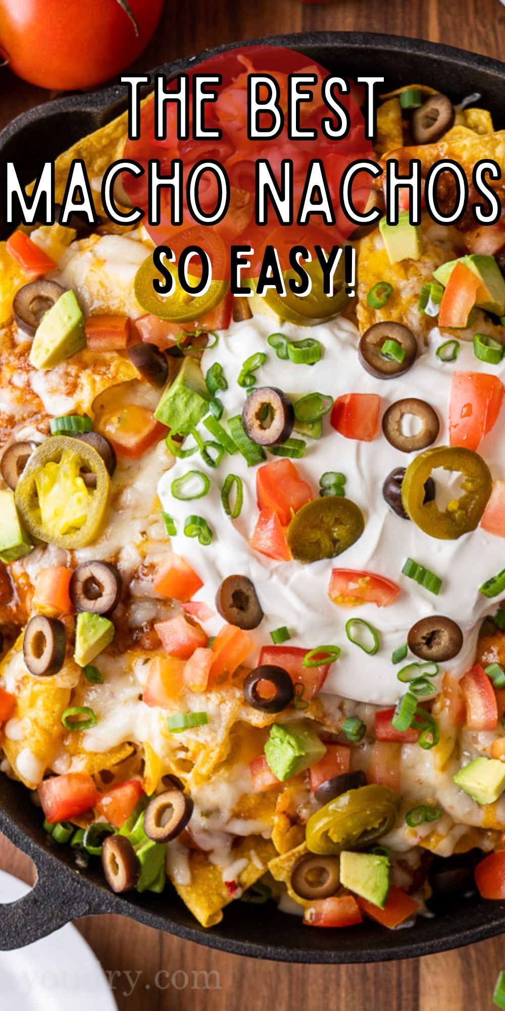 Ultimate Macho Nachos Recipe - I Wash You Dry
