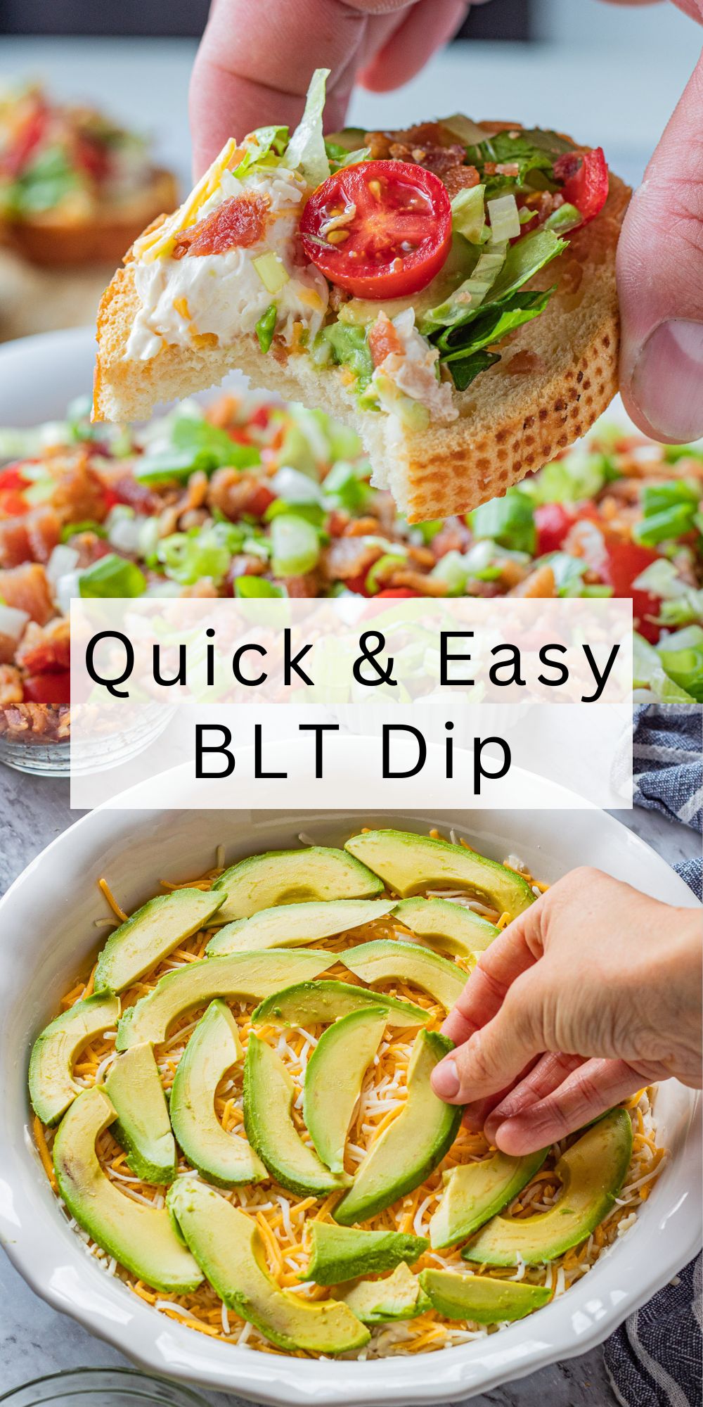 Super Easy BLT Dip - I Wash You Dry