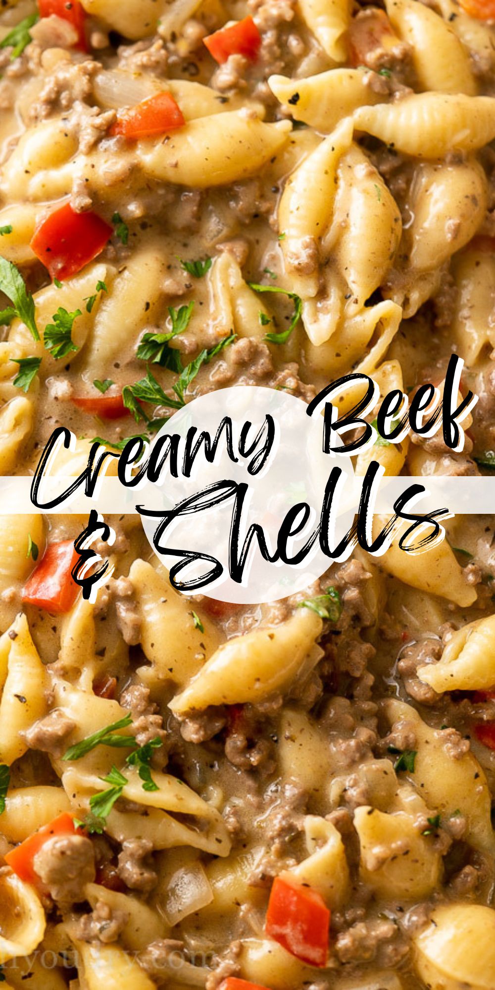 Creamy Beef and Shells - I Wash You Dry