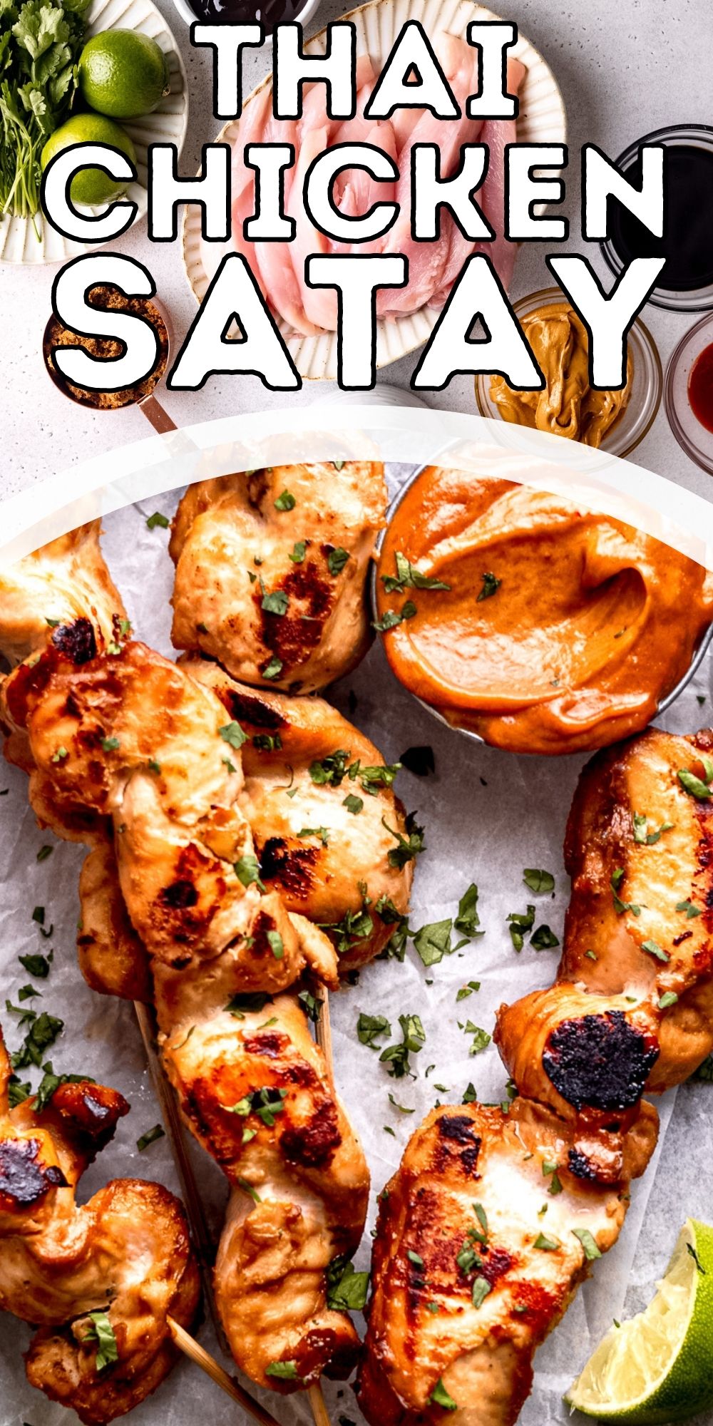 Thai Chicken Satay - I Wash You Dry