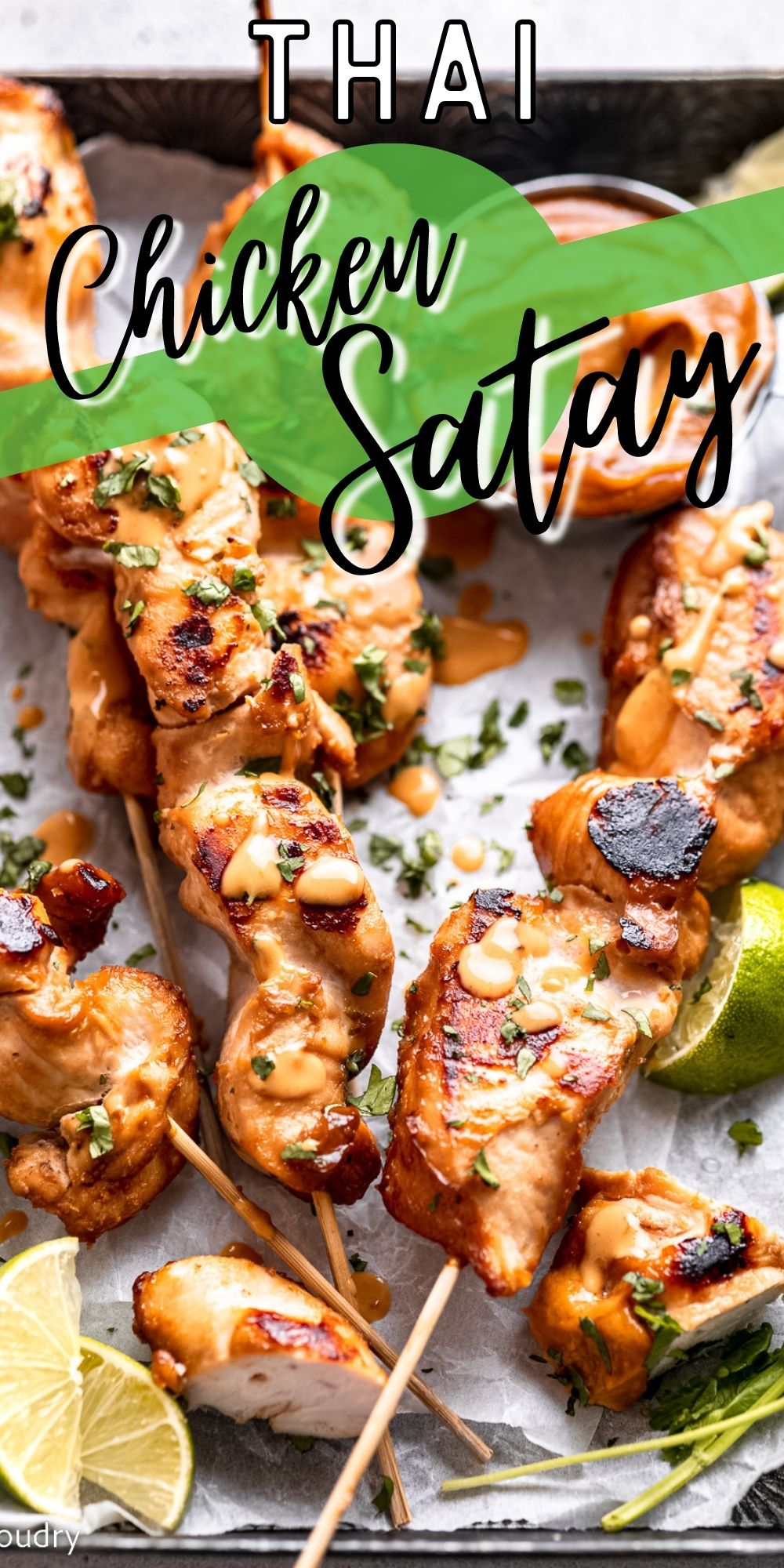 Thai Chicken Satay - I Wash You Dry