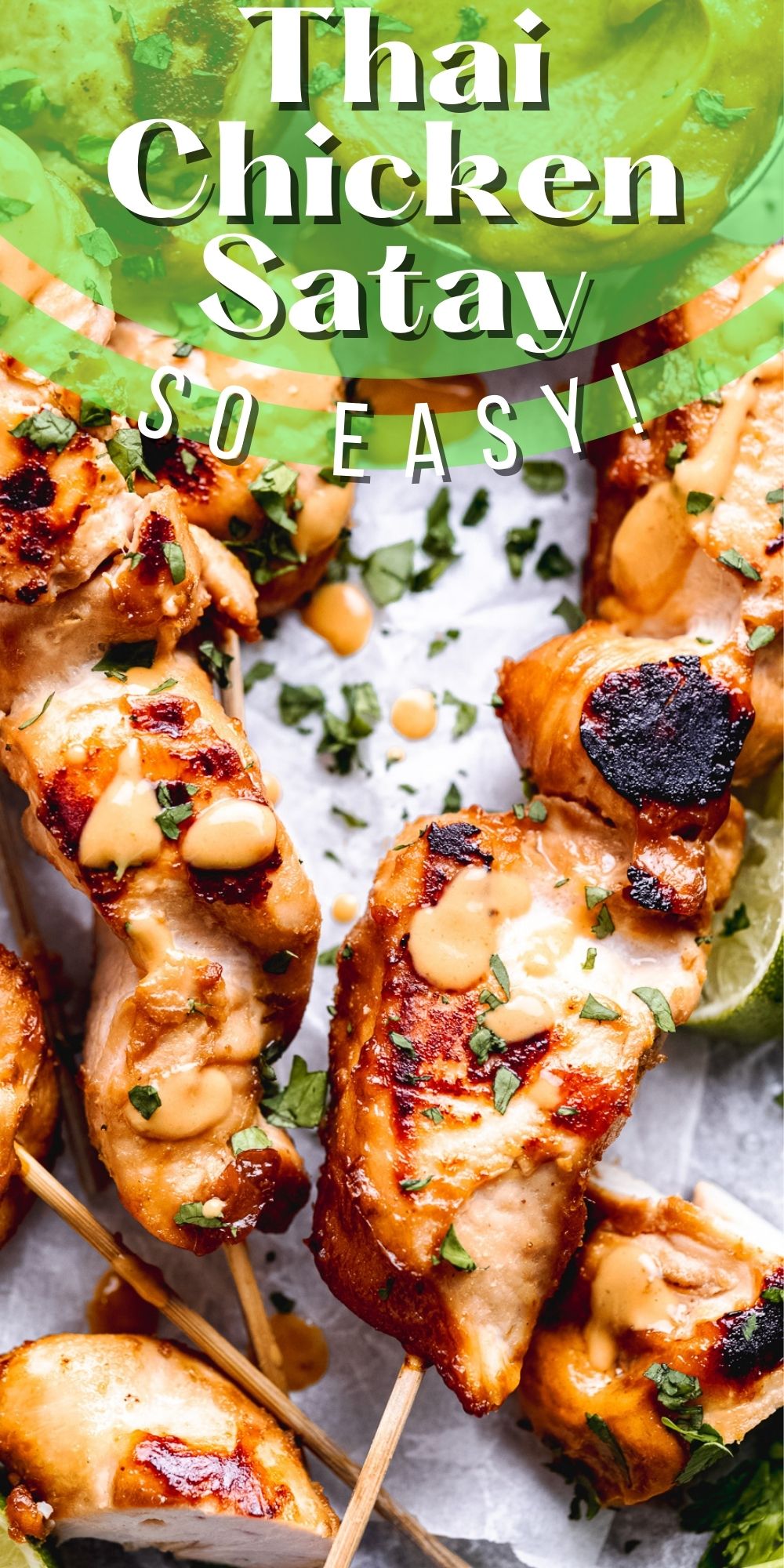 Thai Chicken Satay - I Wash You Dry