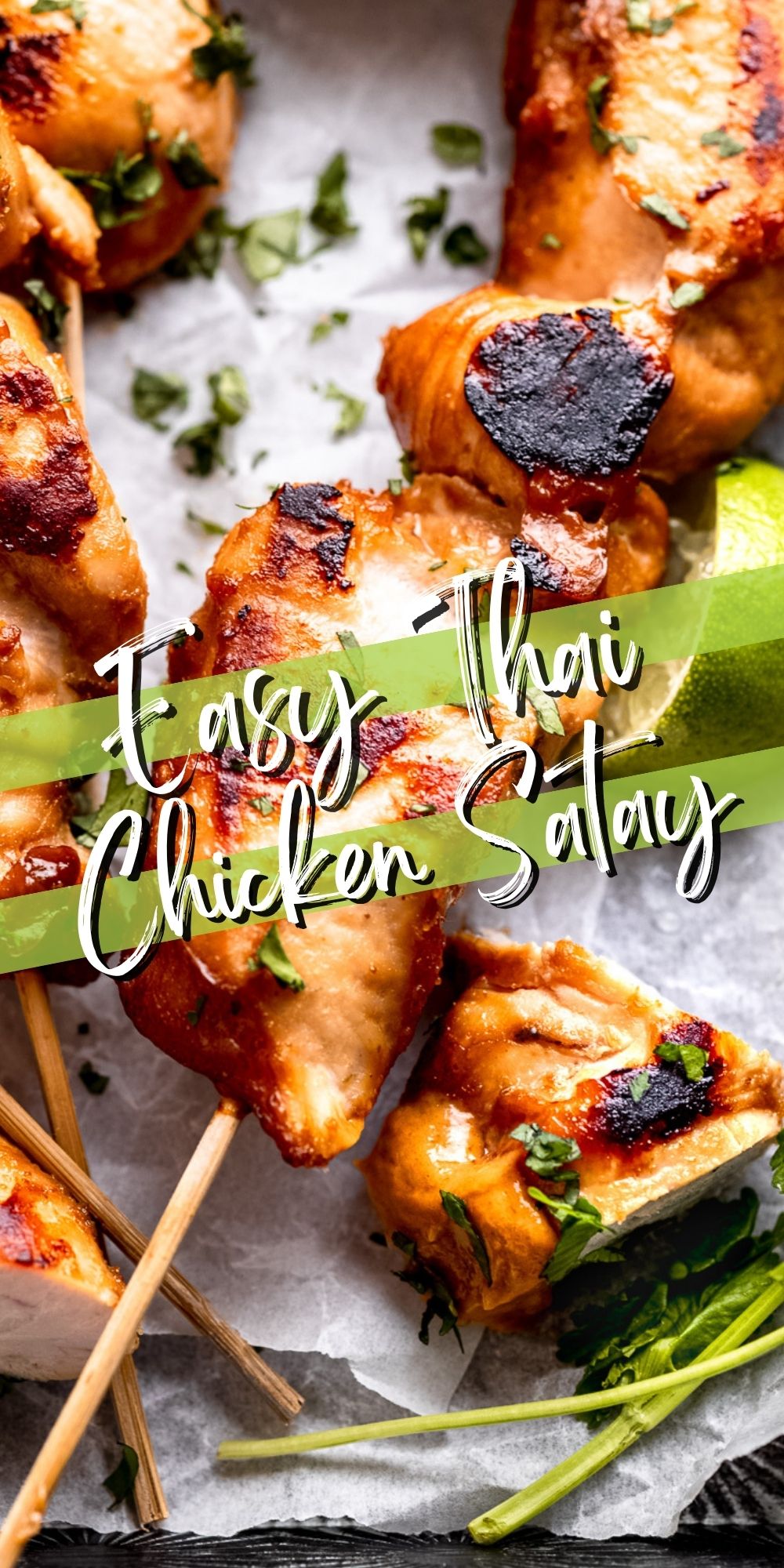 Thai Chicken Satay - I Wash You Dry