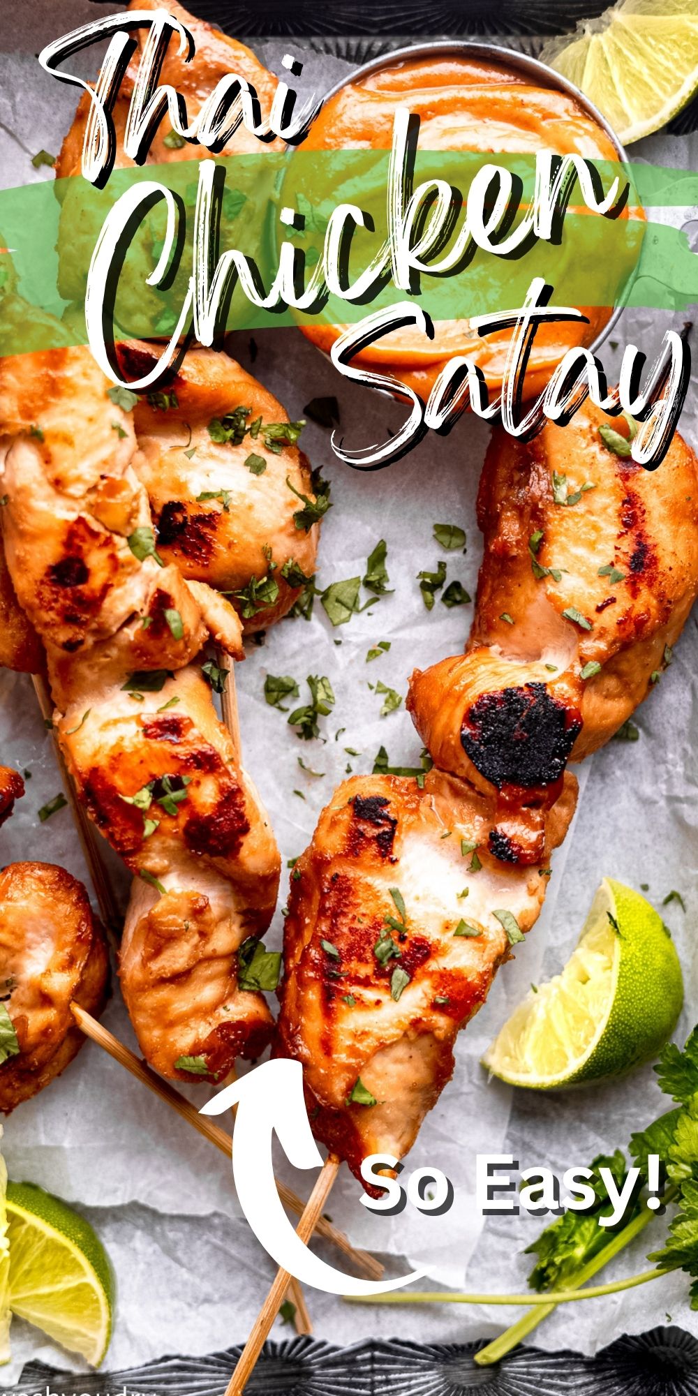 Thai Chicken Satay - I Wash You Dry