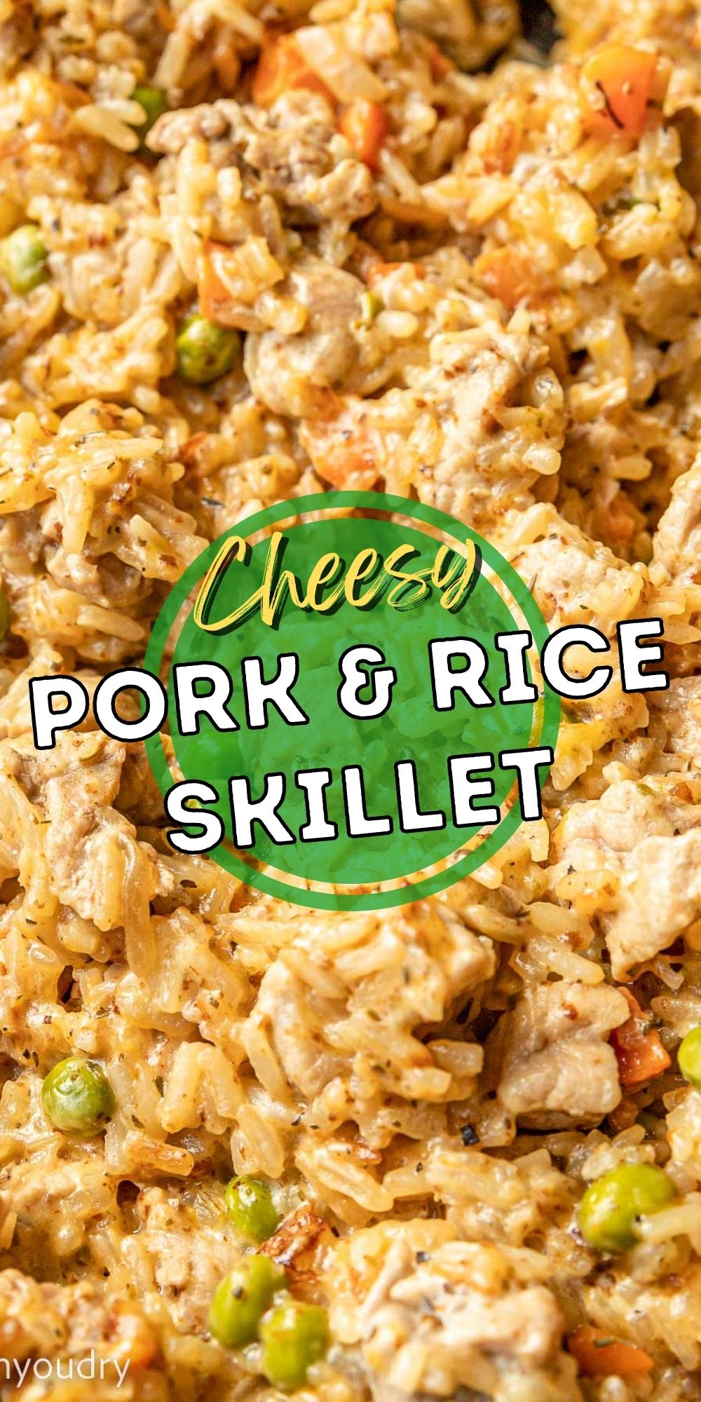 Cheesy Pork and Rice Skillet - I Wash You Dry