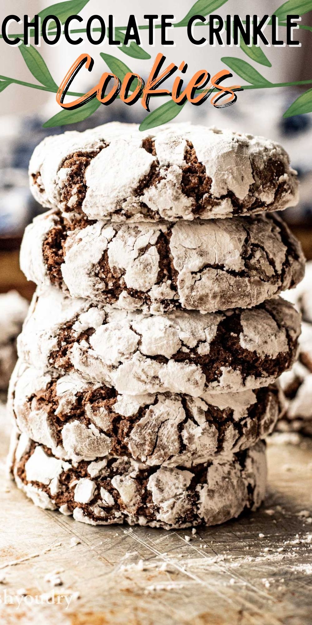 Chocolate Crinkle Cookies Recipe - I Wash You Dry