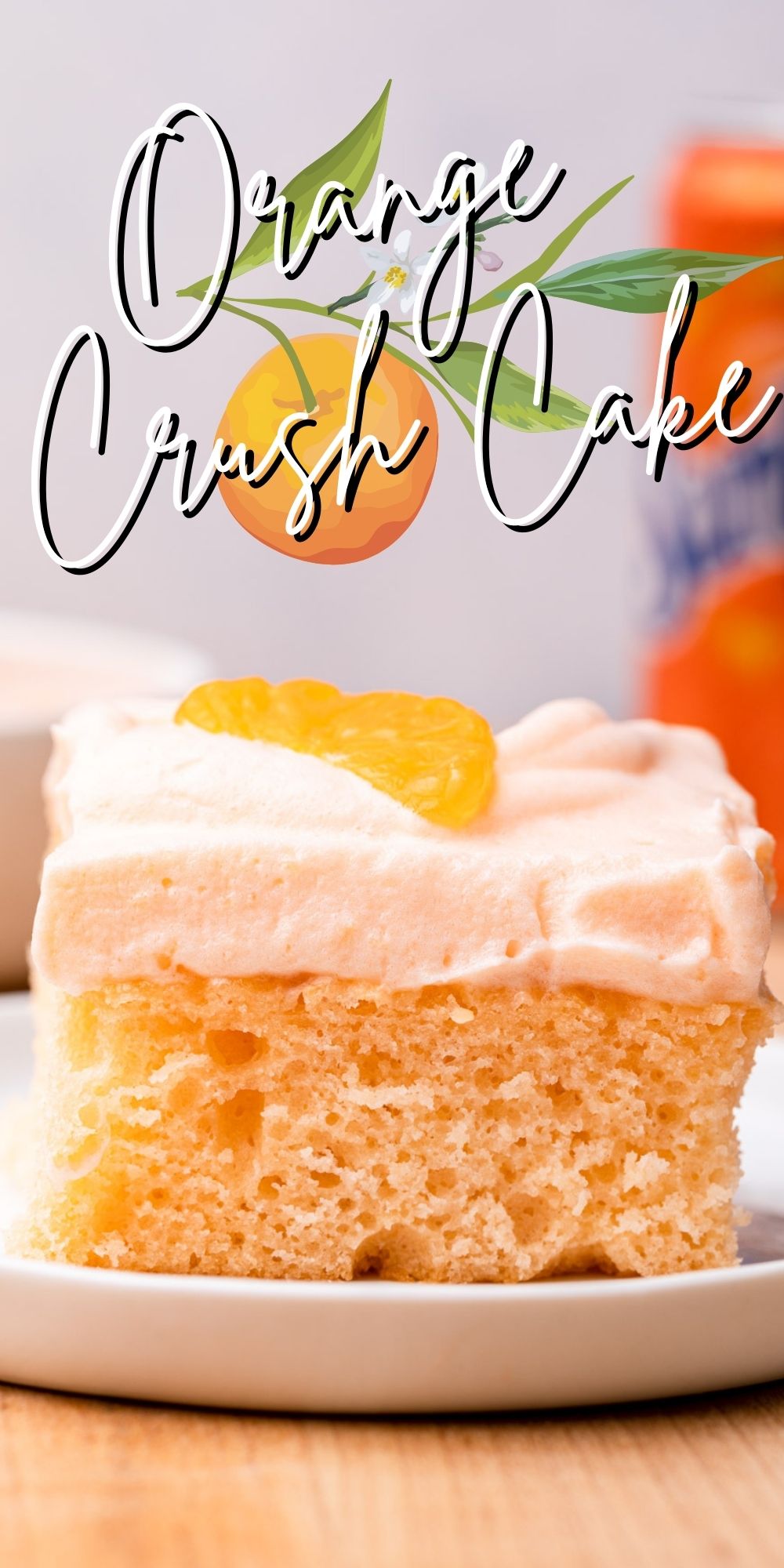 Orange Crush Cake - I Wash You Dry