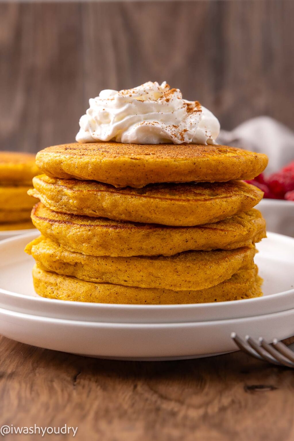 Fluffy Pumpkin Pancakes - I Wash You Dry