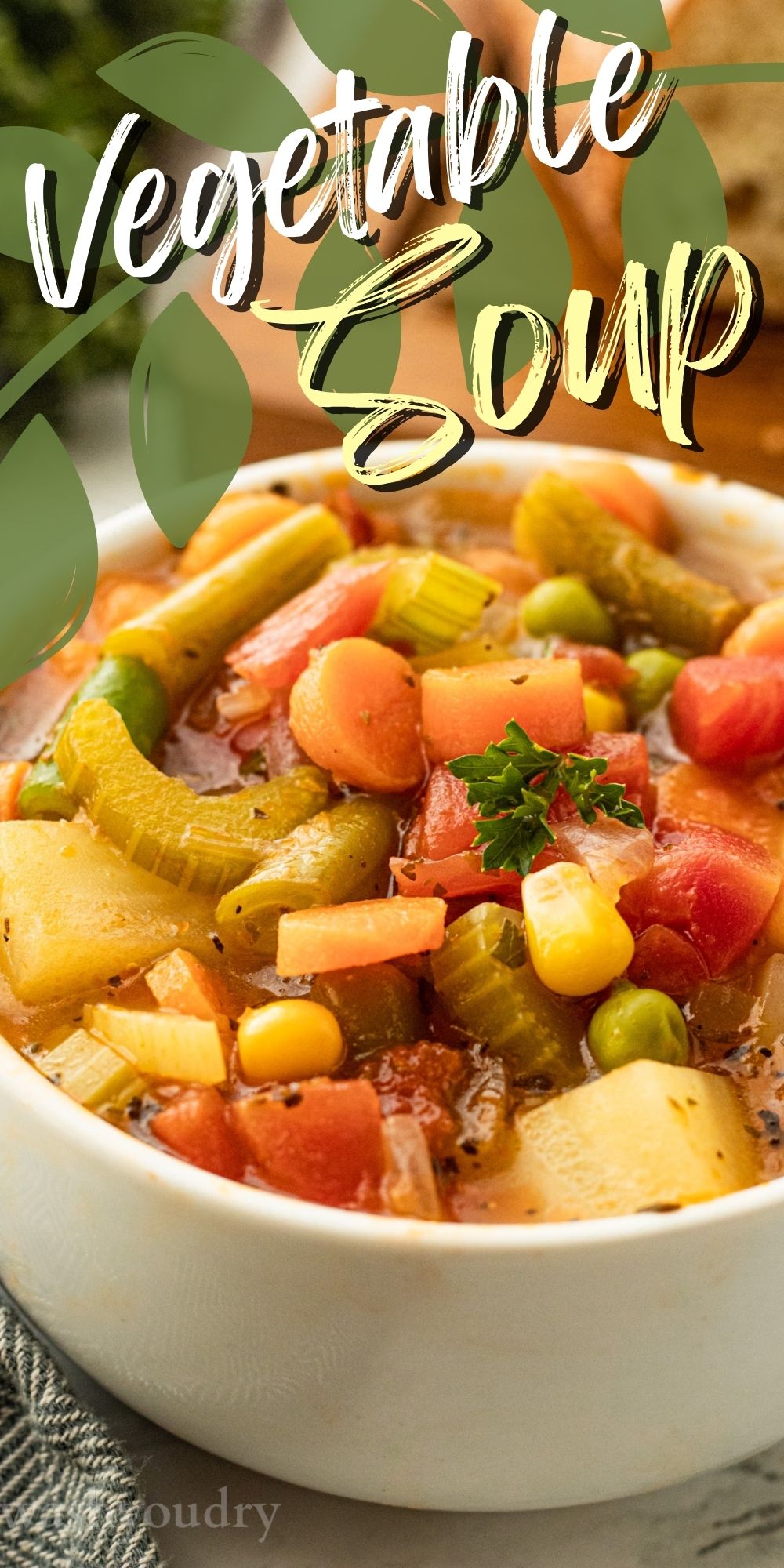 Vegetable Soup Recipe - I Wash You Dry