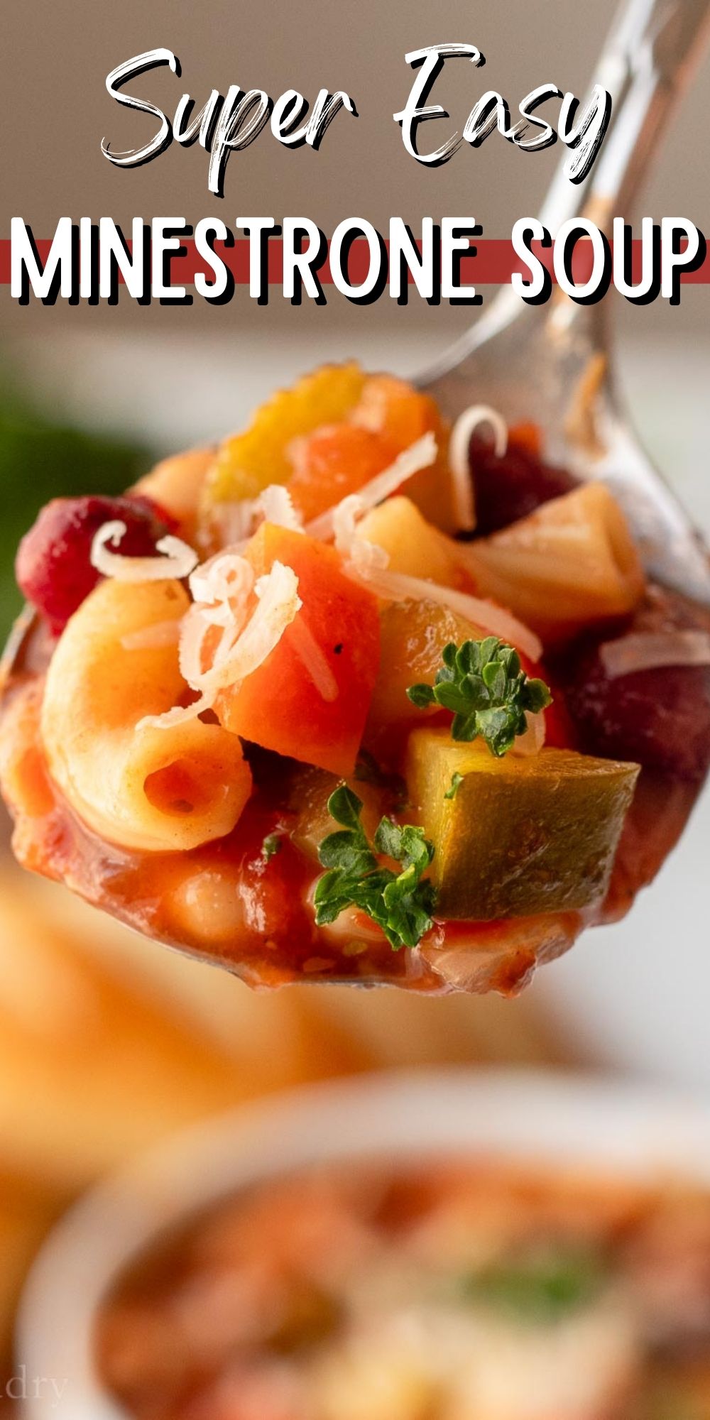 Minestrone Soup Recipe - I Wash You Dry