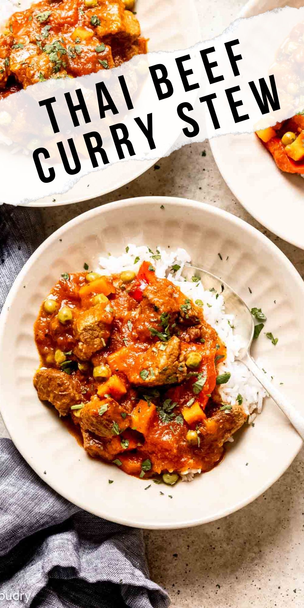 Curry Beef Stew - I Wash You Dry