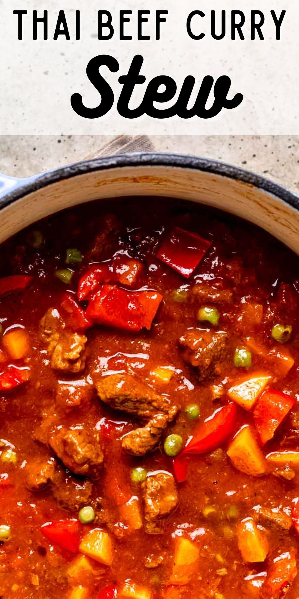 Curry Beef Stew - I Wash You Dry