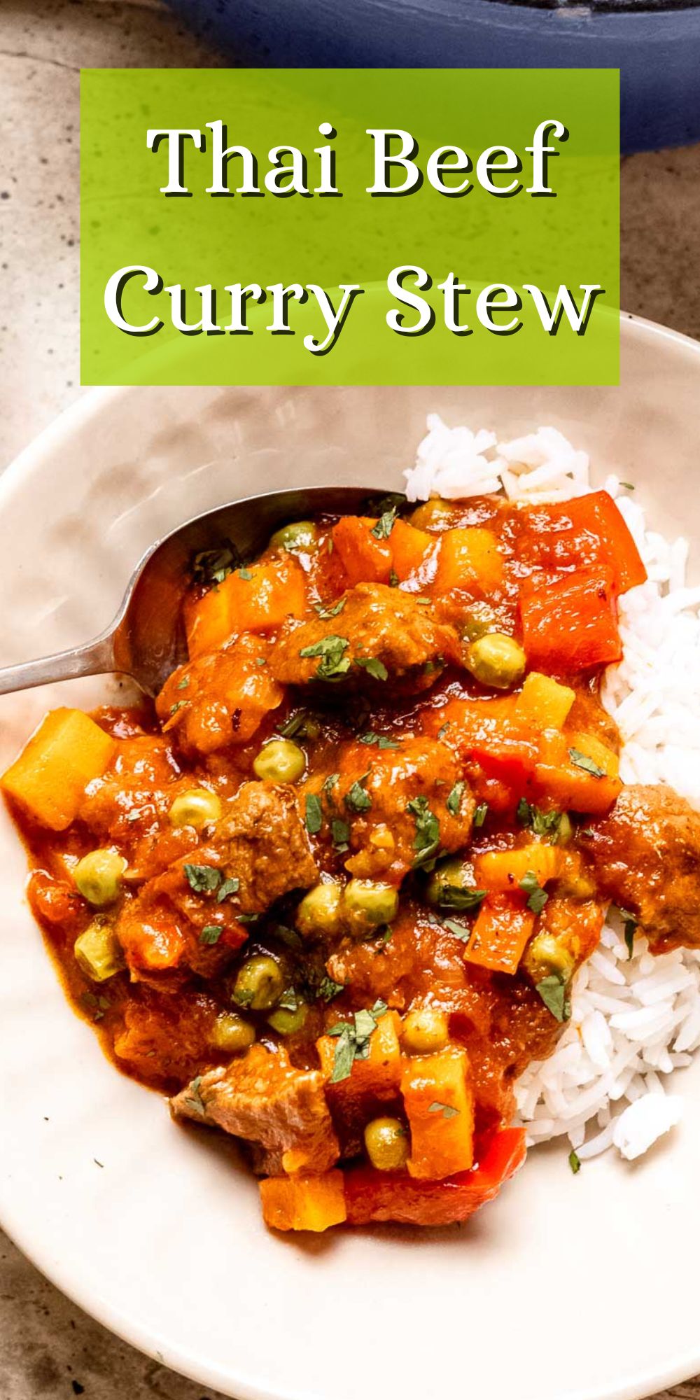 Curry Beef Stew - I Wash You Dry