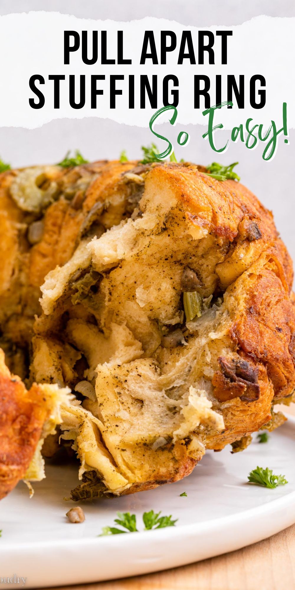 Pull Apart Stuffing Ring - I Wash You Dry