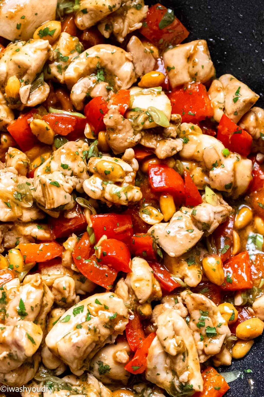 Cilantro Chicken Stir Fry - I Wash You Dry