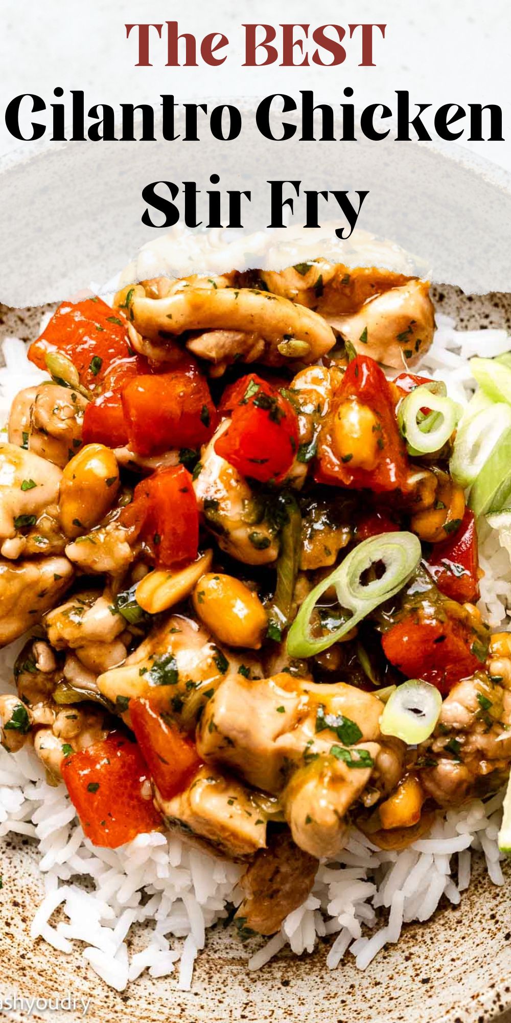 Cilantro Chicken Stir Fry - I Wash You Dry